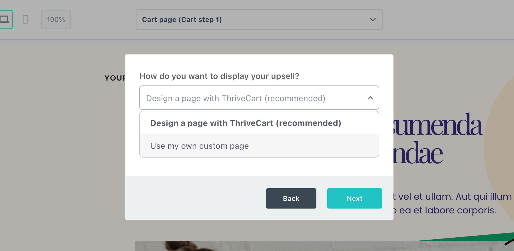 Using custom upsell pages (on your website) – ThriveCart Helpdesk